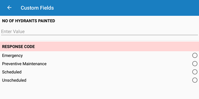 View or Edit Custom Fields