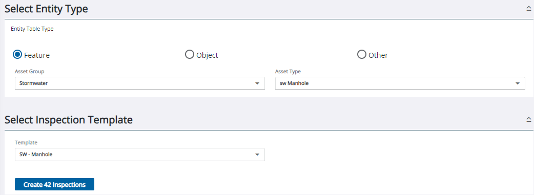 Select Entity Type and Template Panels Fields