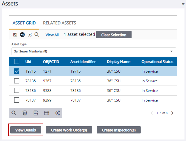 View Asset Details