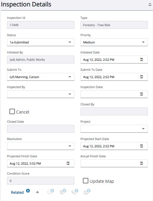 Inspection Details Panel Fields