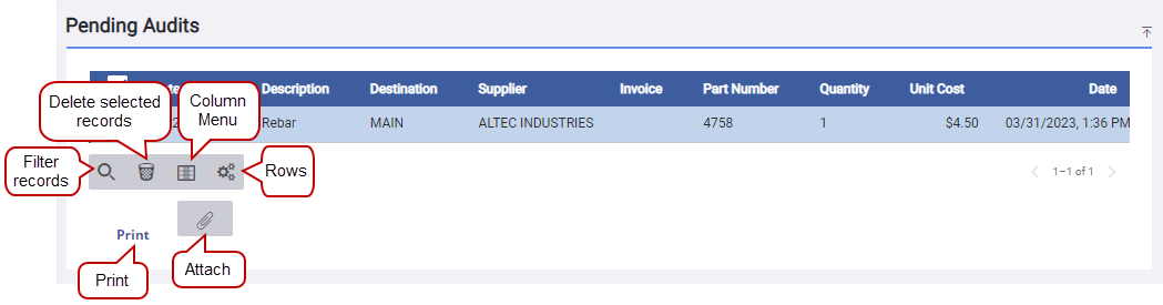 Navigate the Pending Audits Panel