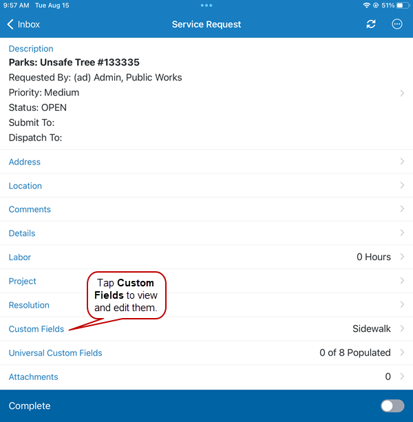 View or Edit Custom Fields